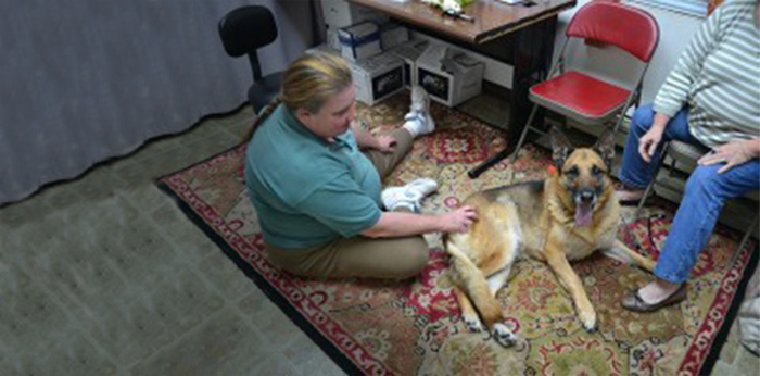 AAHA - Creature Comforts Veterinary