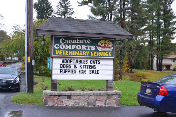 Gallery - Creature Comforts Veterinary