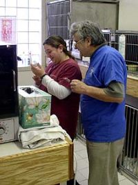 Gallery - Creature Comforts Veterinary