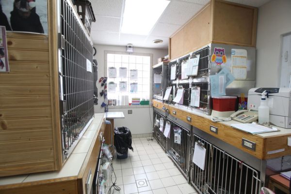 Gallery - Creature Comforts Veterinary