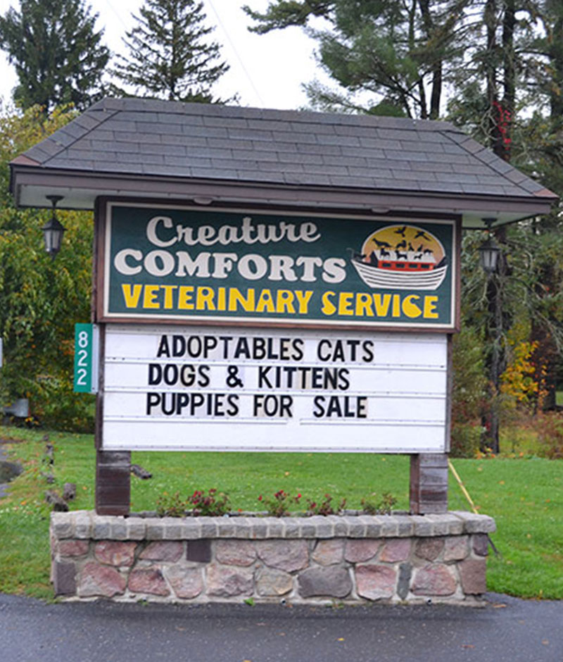 History of Creature Comforts - Creature Comforts Veterinary