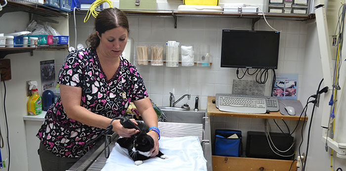 AAHA - Creature Comforts Veterinary