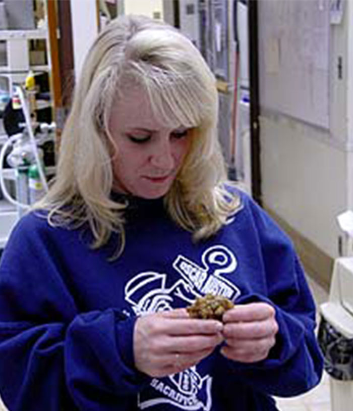 AAHA - Creature Comforts Veterinary