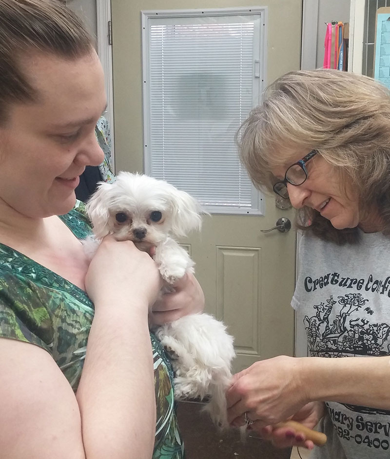 Wellness and Preventative - Creature Comforts Veterinary