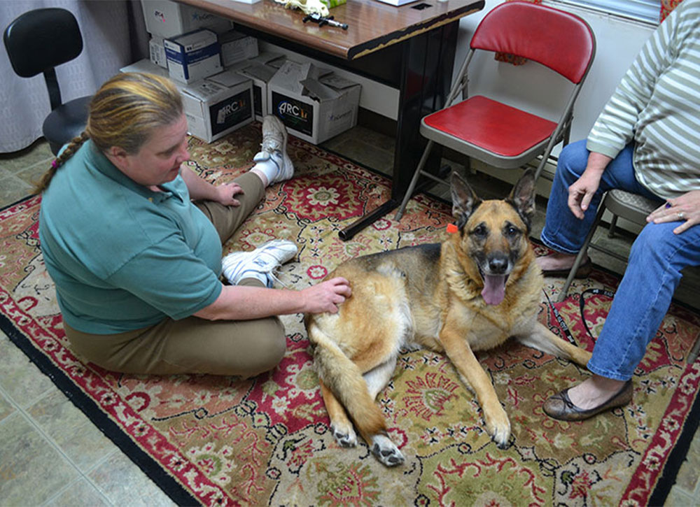 Clinic Tour - Creature Comforts Veterinary